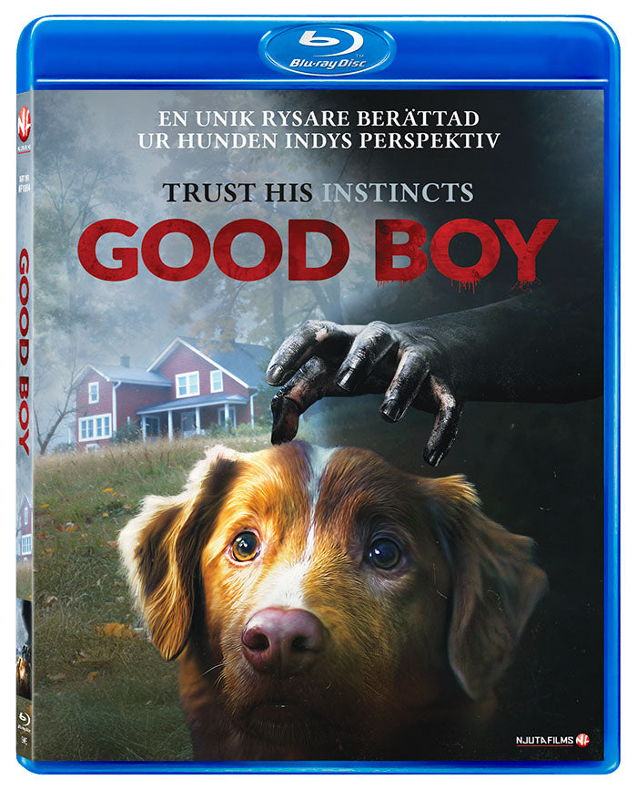 Good Boy – Filmvalvet - Studio S & Friends